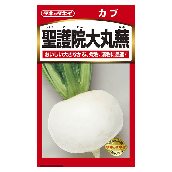 おいしい大きなかぶ。煮物、漬物に最適![特長]:■根形は肩張りする扁円の大カブ。適期栽培では根径15cm、高さ12cm程度となる。肌は滑らかでツヤがあり、肉質は緻密で品質上々。※蒔き時期、収穫・開花時期等はパッケージ裏面の記載をご確認くださ...