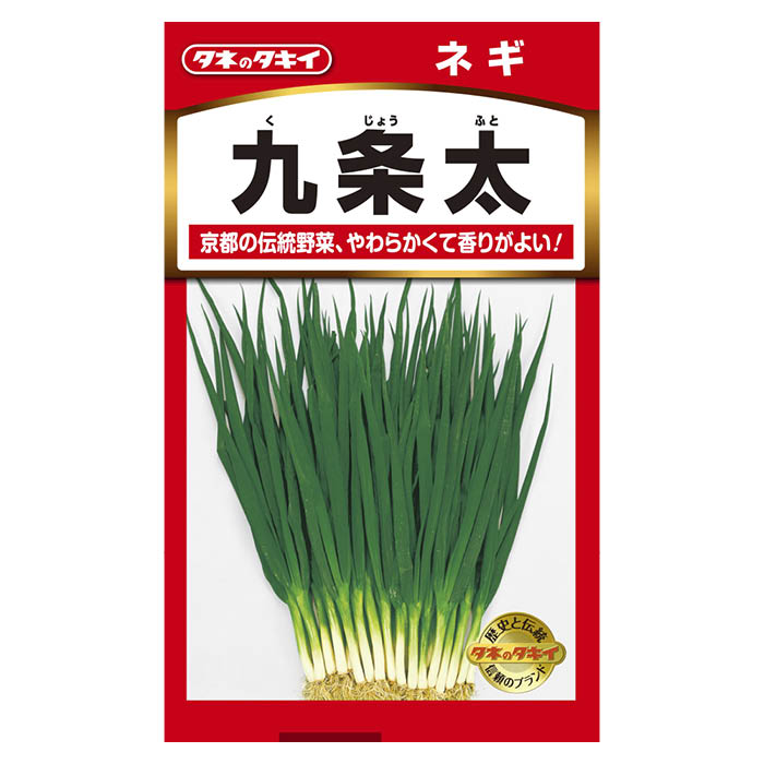 [特長]：■京都特産の伝統葉ネギ用種。葉先までやわらかで芳香に富み、品質上々。草丈は60cm程度で3ー4本に分けつし肉厚。耐寒性が強く、冬ネギとしても利用が多い。