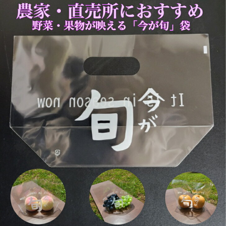 商品情報手提げスタンドバッグ（170）OPP防曇袋厚み0.04mm横260mm深さ170mm全体マチ100mmこの商品は 【ポリ袋 100枚入】 横260×縦170 全体のマチ100mm 手提げ スタンドバッグ 今が旬 It is in s...