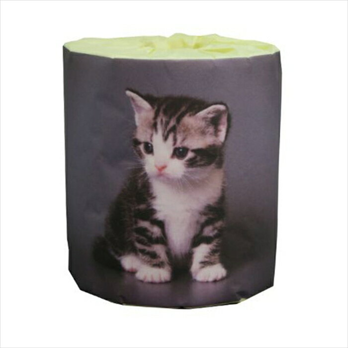 ●明るく好奇心旺盛なアメリカンショートヘアーの仔猫ちゃんモチーフのトイレットペーパーです●原紙には富士山の雪解け水を使用しています 【商品詳細】 ロールサイズ：114mmX30m　ダブル（ソフトタイプ） ケース入数：個包装50個 ミシン目：...