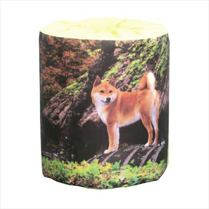 ●勇敢で聡明な柴犬の仔犬をモチーフにしたトイレットペーパーです ●原紙には富士山の雪解け水を使用しています ●コレクション・犬好きな方へのプレゼント・・記念品・贈答品・景品・販促品に最適です 【商品詳細】 ロールサイズ：114mmX30m　...