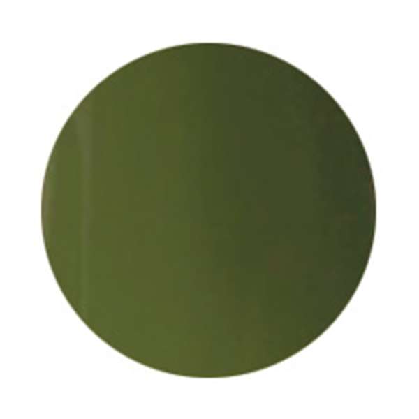 カーキneo　PGCEN257EXカラーの中でもテクスチャーの違うアート専用カラーです。一度描いたアートがいつまでもとどまる独特の質感で、クッキリとハッキリと細やかなアートを描けます。3gソフトジェルタイプ UV約1〜2分 LED約30秒 ...