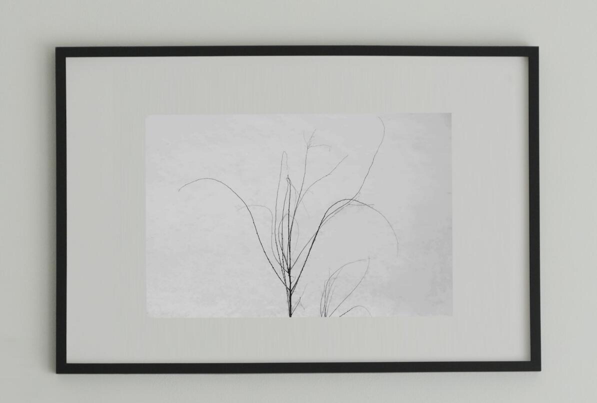 当作品は、GALLERYPHOTOGRAPHSの所蔵品となります。 【サーティフィケイトについて】 サーティフィケイトは販売確認後、作家に連絡し署名頂いたものをお付けします。 【額縁サイズ】 高さ：外寸50cm 幅　：外寸70cm 厚さ：3...