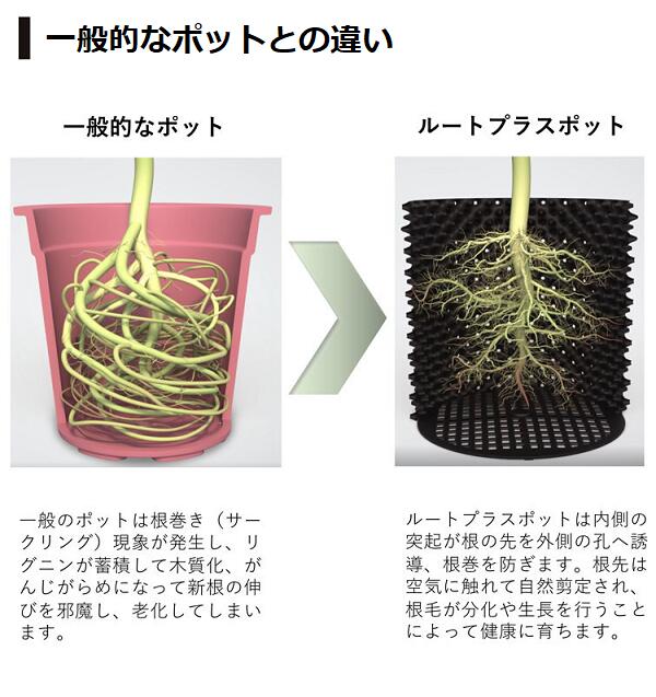 【楽天市場】南栄工業 ルートプラスポット 7 5l Gs Ap200m 高機能植木鉢 Na:あきんど ナカシマ