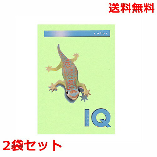 伊東屋 バイオトップカラー 80g A4 BT506 ミディアムグリーン 500枚×2 モンディ坪量:80g/m2四六判換算:68.8kg紙厚:0.103mm両面印刷対応、耐久性と保存性を誇る高品質な中性紙で、重要文書の永久保存用にも最適レ...
