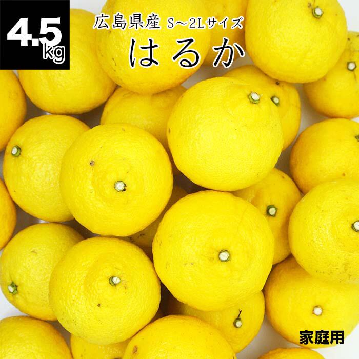 ●商品名・健ちゃんファームのはるか ●内容量・4.5キロ ●サイズ・S〜2L ●収穫時期・3月〜4月 ○スタッフの感想○ 健ちゃんファームのはるかは樹上完熟です。一般的な収穫時期には収穫せず、糖度を上げるためにしっかり木にならしておいて収穫...