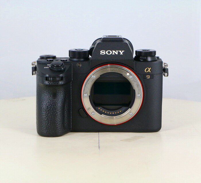 「カメラのナニワ　梅田買取センター在庫」【デジタル一眼】商品コード：2221091102017付属品：バッテリー 充電器 ストラップ 箱商品状態：外観スレランク：B店舗在庫を移動するため2〜3日のお時間を頂戴いたします。※オンラインで見た事...
