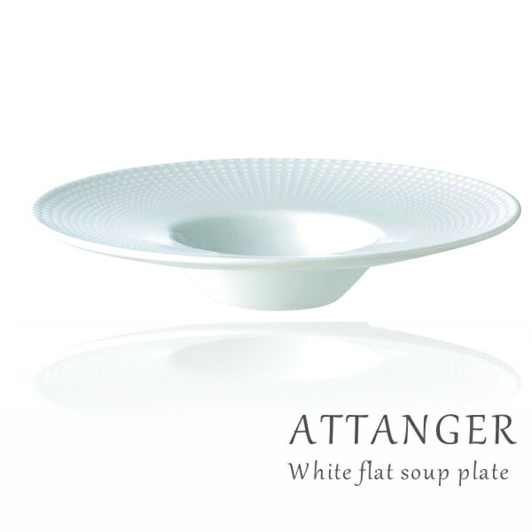 サイズ：D26×H4.8cm 材質：磁器 食洗器・電子レンジ対応不可。 オーブン・直火はご遠慮ください。 made in Japan