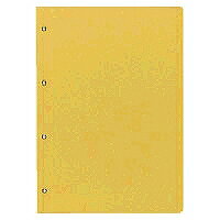 文具 ＞ ファイル ＞ 綴り込み表紙。タイトルなどを表紙に直接書き込めるクラフトタイプ最も価格が安く、必要な文字は直接表紙に書けるクラフトタイプです◆材質：クラフトボール◆穴数：4穴。本体色・柄：。サイズ：本体 約 縦15×横220×奥30...