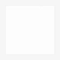 文具 ＞ 典礼用品 ＞ ポチ袋。文具 ＞ 典礼用品 ＞ ポチ袋。