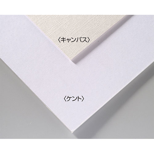 美術・画材・書道[キャンバス面]油絵具、アクリル絵具に特に相性がよく、筆やエアブラシによるタッチの表現にも適しています。このアートボードは、中芯に牛乳パックをリサイクルした再生紙を利用しています。牛乳パックの再生紙は環境保護としてだけでなく...