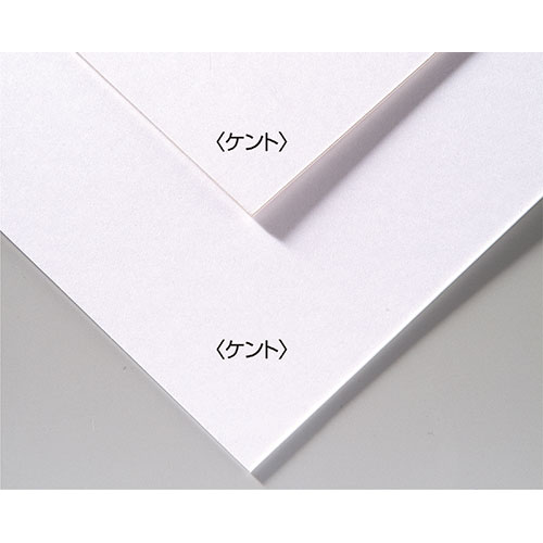 美術・画材・書道牛乳パックで作った環境にやさしいECO素材このアートボードは、中芯に牛乳パックをリサイクルした再生紙を利用しています。牛乳パックの再生紙は環境保護としてだけでなく、強度、弾力性に富み、劣化が少ない素材です。ケント面/ケント面…