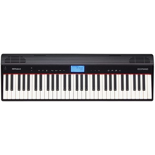 　GO-61P。衣料・生活用品 ＞ レジャー／園芸／ペット用品 ＞ 趣味・娯楽 ＞ 楽器。