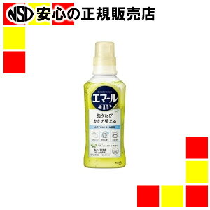 【商品について】 洗うたびカタチ整える！ ●種別：本体 ●内容量：500ml ●JAN:4901301349071