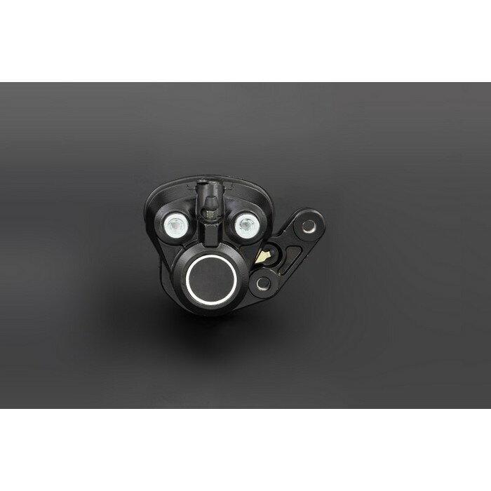 【適合車種】KawasakiZ1 72-75Z2 73-75【商品説明】オリジナルフォルムを崩すことなく"初期型キャリパー"を忠実に再現しながら、さらにキャリパー本来の絶対条件である制動能力と耐久性も同時に向上させました。また標準装備のブレ...
