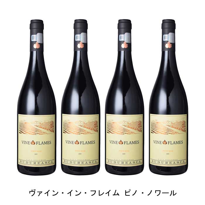 【商品説明】・商品 : ヴァイン・イン・フレイム ピノ・ノワール(Vine in Flames Pinot Noir)・ヴィンテージ : 2021年・生産者(ワイナリー) : ヴィル・ブドゥレアスカ(Viile Budureasca)・原産...