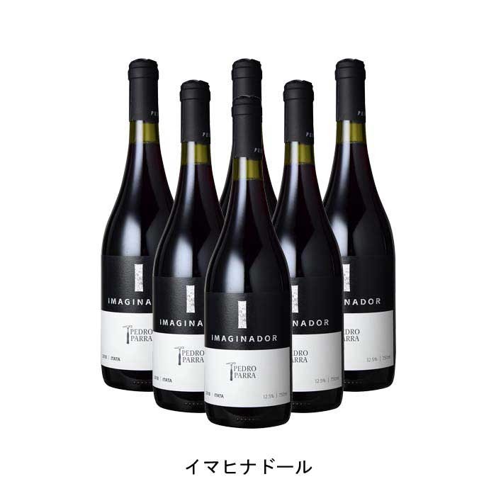 【商品説明】・商品 : イマヒナドール(Imaginador)・ヴィンテージ : 2018年・生産者(ワイナリー) : ペドロ・パッラ・イ・ファミリア(Pedro Parra y Familia)・原産国 : チリ・品種(原材料) : サン...