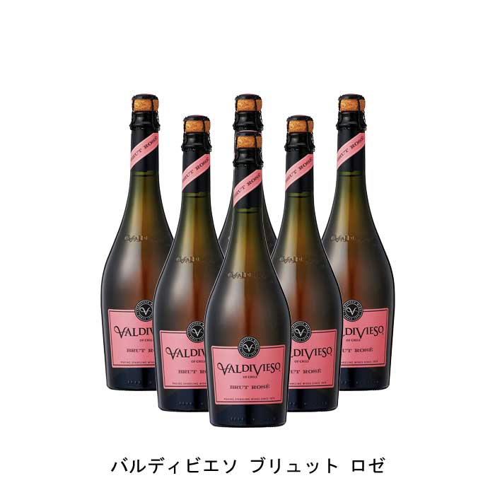【商品説明】・商品 : バルディビエソ ブリュット ロゼ(Valdivieso Brut Rose)・ヴィンテージ : NV・生産者(ワイナリー) : ビーニャ・バルディビエソ(Vina Valdivieso)・原産国 : チリ・品種(原材...