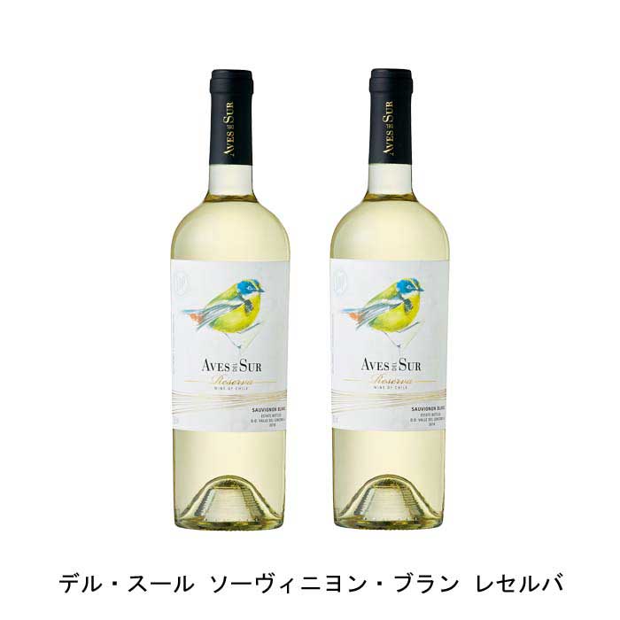 【商品説明】・商品 : デル・スール ソーヴィニヨン・ブラン レセルバ(Aves del sur Sauvignon Blanc Reserva)・ヴィンテージ : 2023年・生産者(ワイナリー) : ビカール(Vina del Pedr...