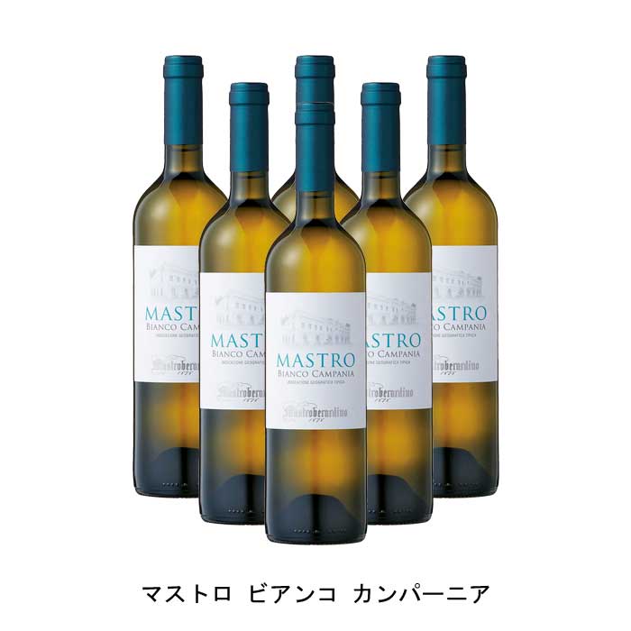 【商品説明】・商品 : マストロ ビアンコ カンパーニア(Mastro Bianco Campania IGT)・ヴィンテージ : 2021年・生産者(ワイナリー) : マストロベラルディーノ(Mastroberardino Societa...