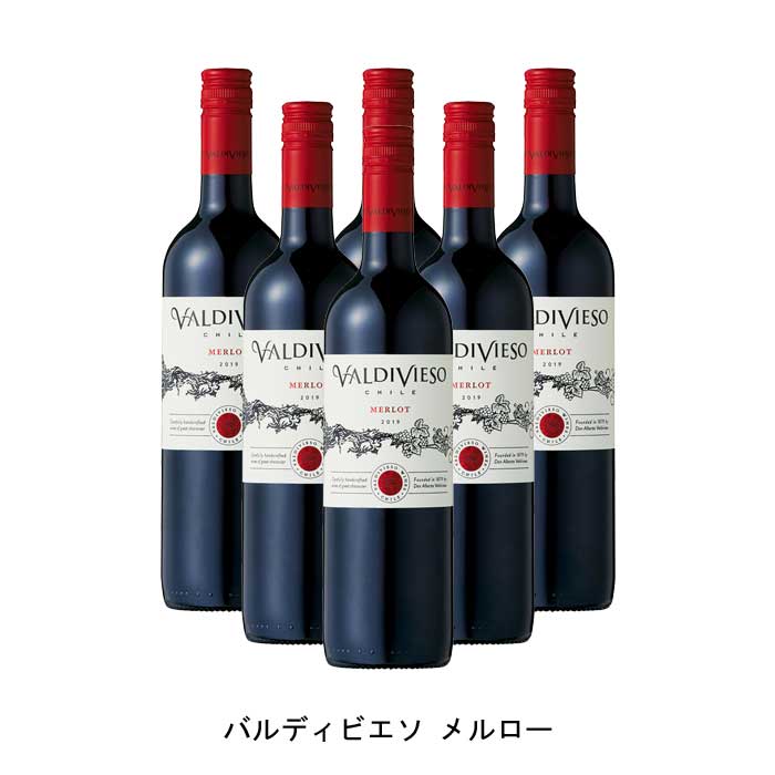 【商品説明】・商品 : バルディビエソ メルロー(Valdivieso Merlot)・ヴィンテージ : 2021年・生産者(ワイナリー) : ビーニャ・バルディビエソ(Vina Valdivieso)・原産国 : チリ・品種(原材料) :...