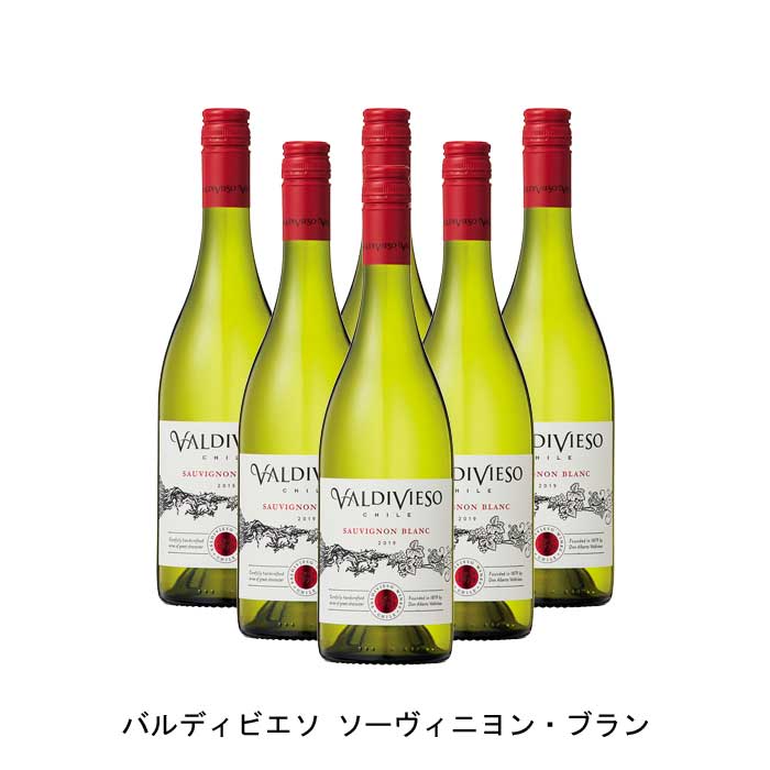 【商品説明】・商品 : バルディビエソ ソーヴィニヨン・ブラン(Valdivieso Sauvignon Blanc)・ヴィンテージ : 2022年・生産者(ワイナリー) : ビーニャ・バルディビエソ(Vina Valdivieso)・原産...