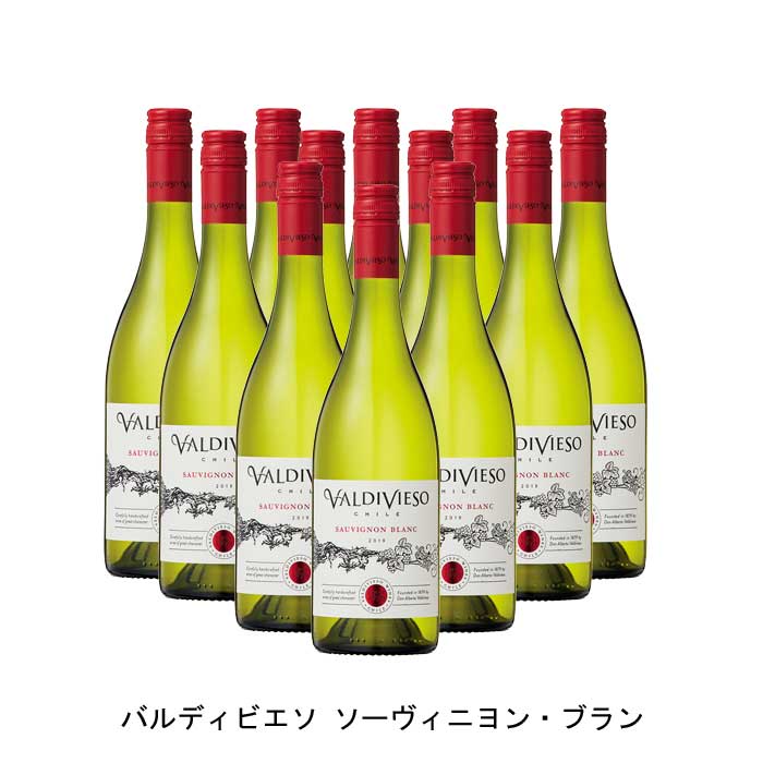 【商品説明】・商品 : バルディビエソ ソーヴィニヨン・ブラン(Valdivieso Sauvignon Blanc)・ヴィンテージ : 2022年・生産者(ワイナリー) : ビーニャ・バルディビエソ(Vina Valdivieso)・原産...