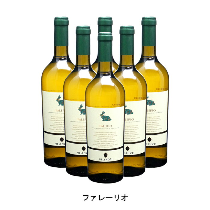 名刺代わりのワイン【商品説明】・商品 : ファレーリオ(Falerio)・ヴィンテージ : 現行VT・生産者(ワイナリー) : ヴェレノージ(Velenosi S.R.L.)・原産国 : イタリア・品種(原材料) : トレッビアーノ50%、...