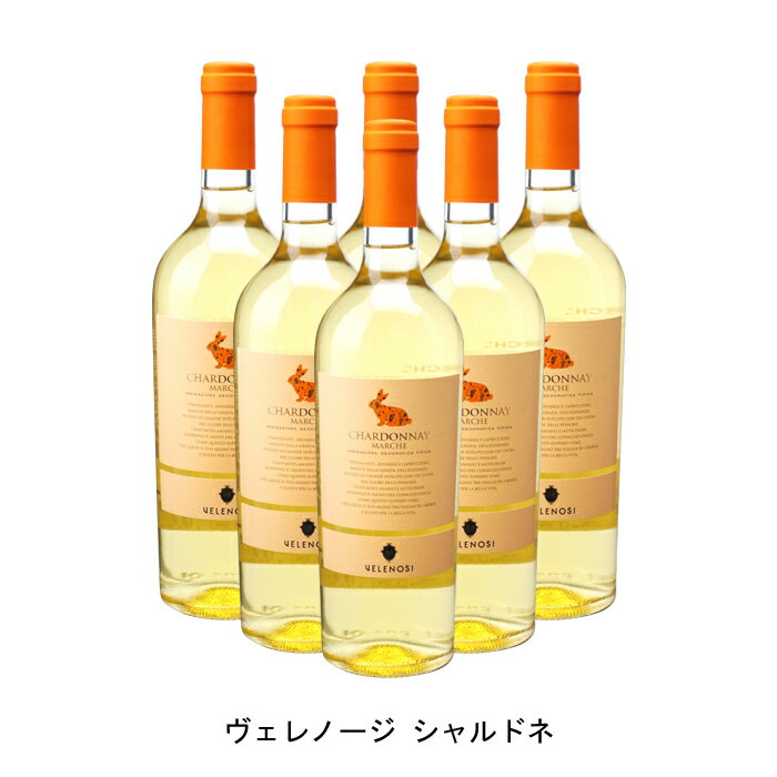 樽熟成と間違えるタンク熟成のシャルドネ【商品説明】・商品 : ヴェレノージ シャルドネ(Velenosi Chardonnay)・ヴィンテージ : 2023年・生産者(ワイナリー) : ヴェレノージ(Velenosi S.R.L.)・原産国...