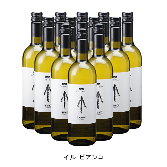 暑い日に飲みたいフレッシュな白【商品説明】・商品 : イル ビアンコ(Il Bianco)・ヴィンテージ : 現行VT・生産者(ワイナリー) : ヴィニェディレオ（トレ カステッリ）(Vignedileo)・原産国 : イタリア・品種(原材...