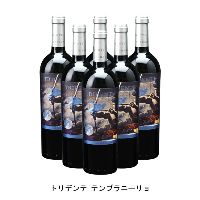 心まで突き刺さる凝縮感【商品説明】・商品 : トリデンテ テンプラニーリョ(Tridente Tempranillo)・ヴィンテージ : 2019年・生産者(ワイナリー) : ボデガス トリデンテ(Bodegas Tridente)・原産国...