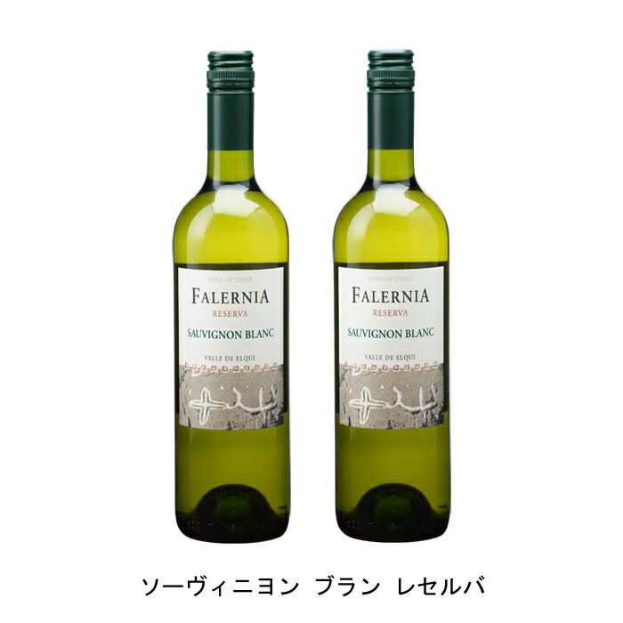 ソーヴィニヨン・ブランのアロマ全開【商品説明】・商品 : ソーヴィニヨン ブラン レセルバ(Sauvignon Blanc Reserva)・ヴィンテージ : 2021年・生産者(ワイナリー) : ビーニャ ファレルニア(Vina Fale...