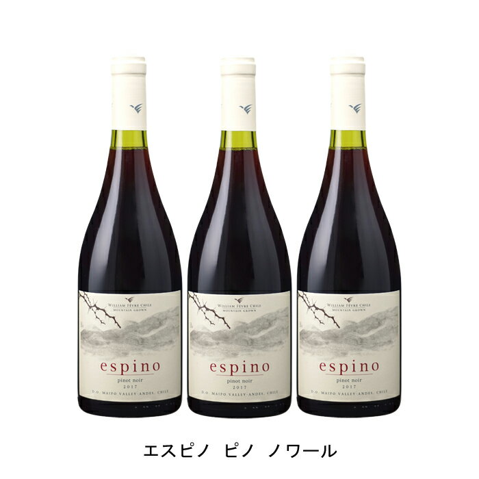 目からウロコのチリワイン【商品説明】・商品 : エスピノ ピノ ノワール(Espino Pinot Noir)・ヴィンテージ : 2023年・生産者(ワイナリー) : ビーニャ ウィリアム フェーヴル チリ(Vina William Fev...