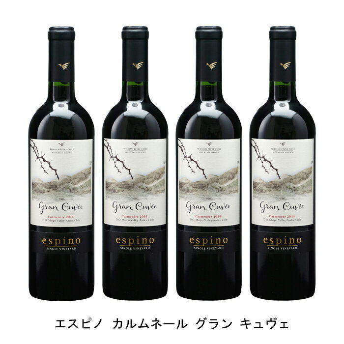 なめらかでエレガントの熟成ワイン【商品説明】・商品 : エスピノ カルムネール グラン キュヴェ(Espino Carmenere Gran Cuvee)・ヴィンテージ : 2018年・生産者(ワイナリー) : ビーニャ ウィリアム フェー...