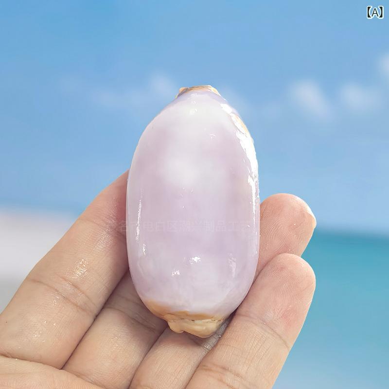 2個セット・カラー: 百眼紫白宝螺・素材: 珊瑚、貝殻、海螺・サイズ: 6-7cm、7-8cm、8-9cm、9-10cm・スタイル: 新中式