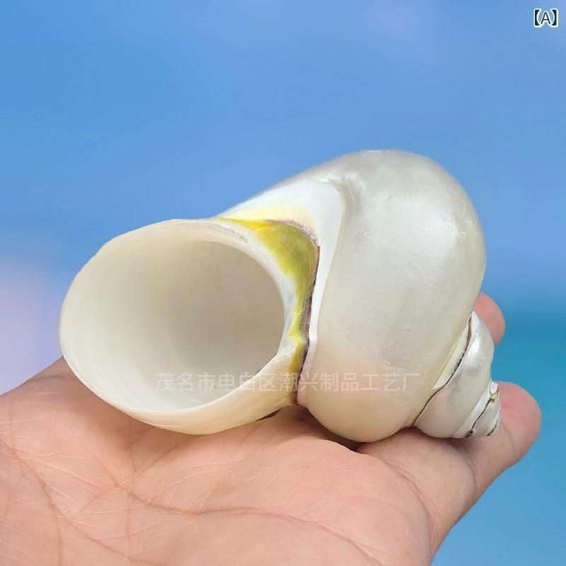 2個セット・素材: 珊瑚、貝殻、海螺・サイズ: 3～4cm（開口部1.3～1.8cm）、4～5cm（開口部1.8～2.3cm）、5～6cm（開口部2.3～2.8cm）、6～7cm（開口部2.7～3.0cm）・スタイル: 新中式・用途: 誕生...