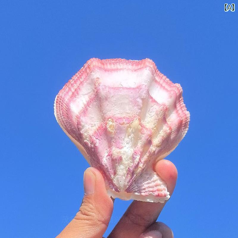 ・主な素材: 珊瑚、貝殻、海螺・サイズ展開: 8-9cm、9-10cm、10-11cm・用途: ポイント交換景品、ビジネスギフト、広告宣伝用景品、販促品、会議用景品、福利厚生用景品、お祝いギフト、表彰記念、PRギフト