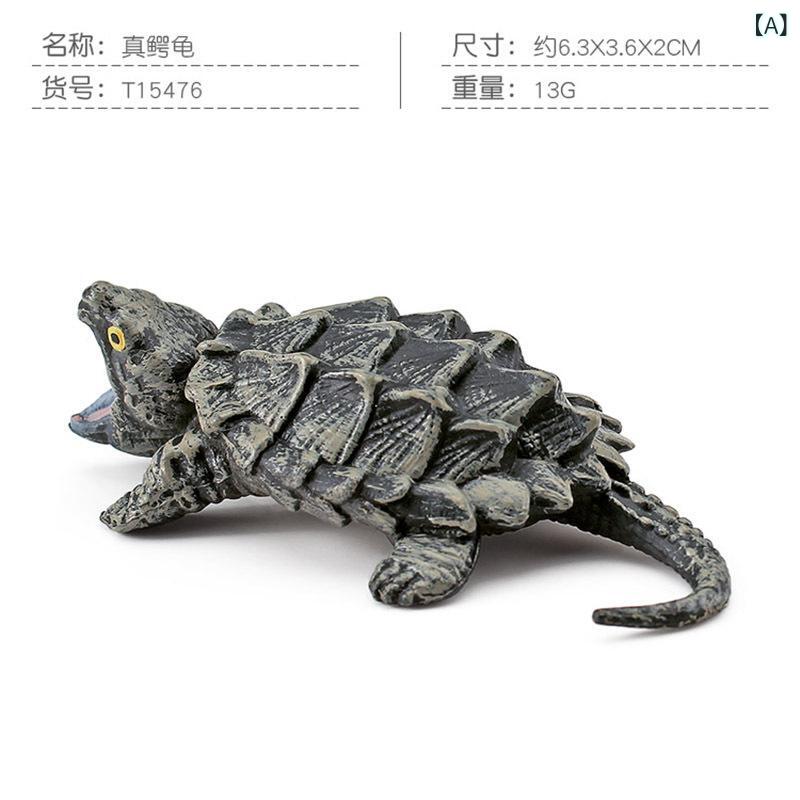 ・素材: PVC・モデルカテゴリ: 動物、植物・種類展開: 真鳄龟 約13g、中華草亀 約11g、ニホンイシガメ 約9g、スッポン 約10g、カメ 約10g、カメ 約12g、カメ 約9g、カメ 約9g、カメ 約12g、カメ 約11g、カメ ...