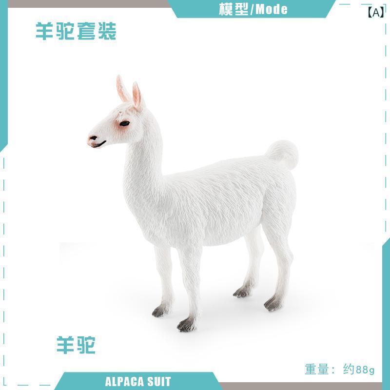 ・主な素材: PVC・カテゴリ: 動植物模型・スタイル: 静的モデル・対象年齢: 4〜6歳