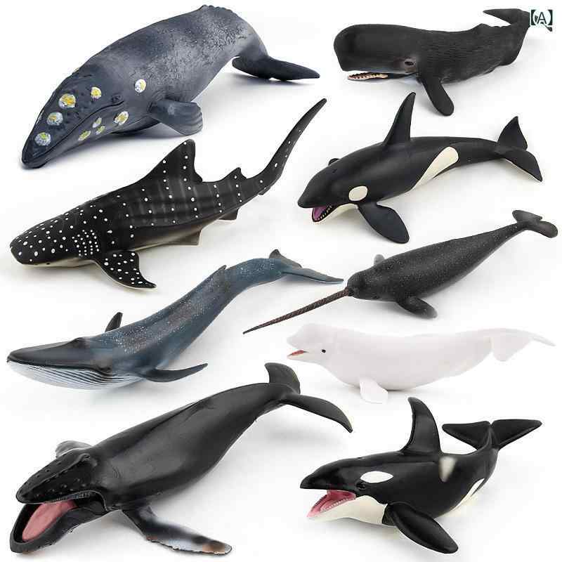 ・主な素材: PVC・カテゴリ: 動植物模型・タイプ: 完成品・組み立て: 不要・対象年齢: 4-6歳・: シロナガスクジラ、シャチ、ジンベエザメ、ベルーガ、ハイイロクジラ、ザトウクジラ、イッカク、マッコウクジラ