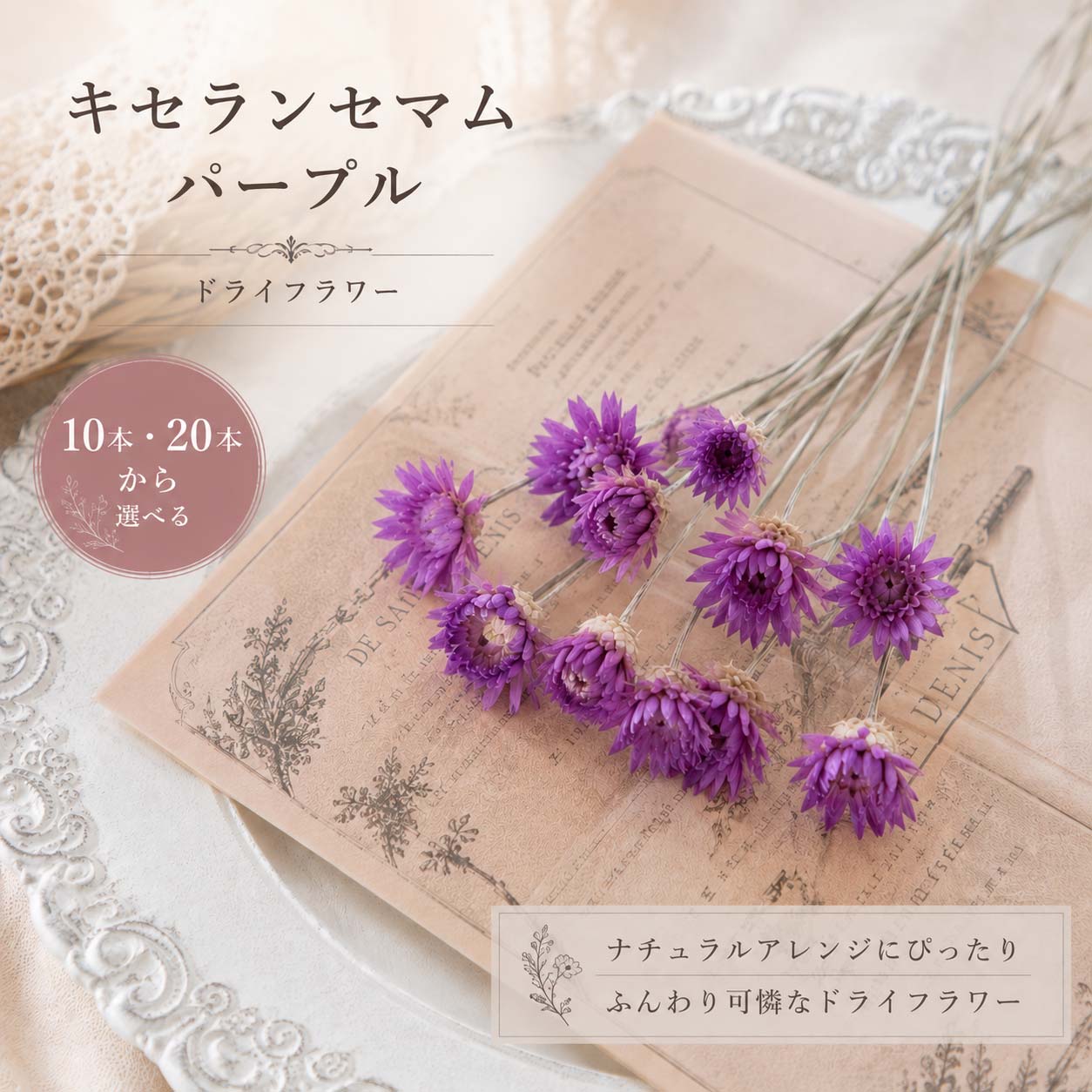 鮮やかすぎず、やさしい色合いが魅力のキセランセマム パープルです。 可憐な小花と落ち着いたパープルカラーが、 ナチュラル・アンティーク・北欧テイストの作品にアクセントを添えます。 スワッグやリース、フラワーアレンジメントはもちろん、 ハーバ...