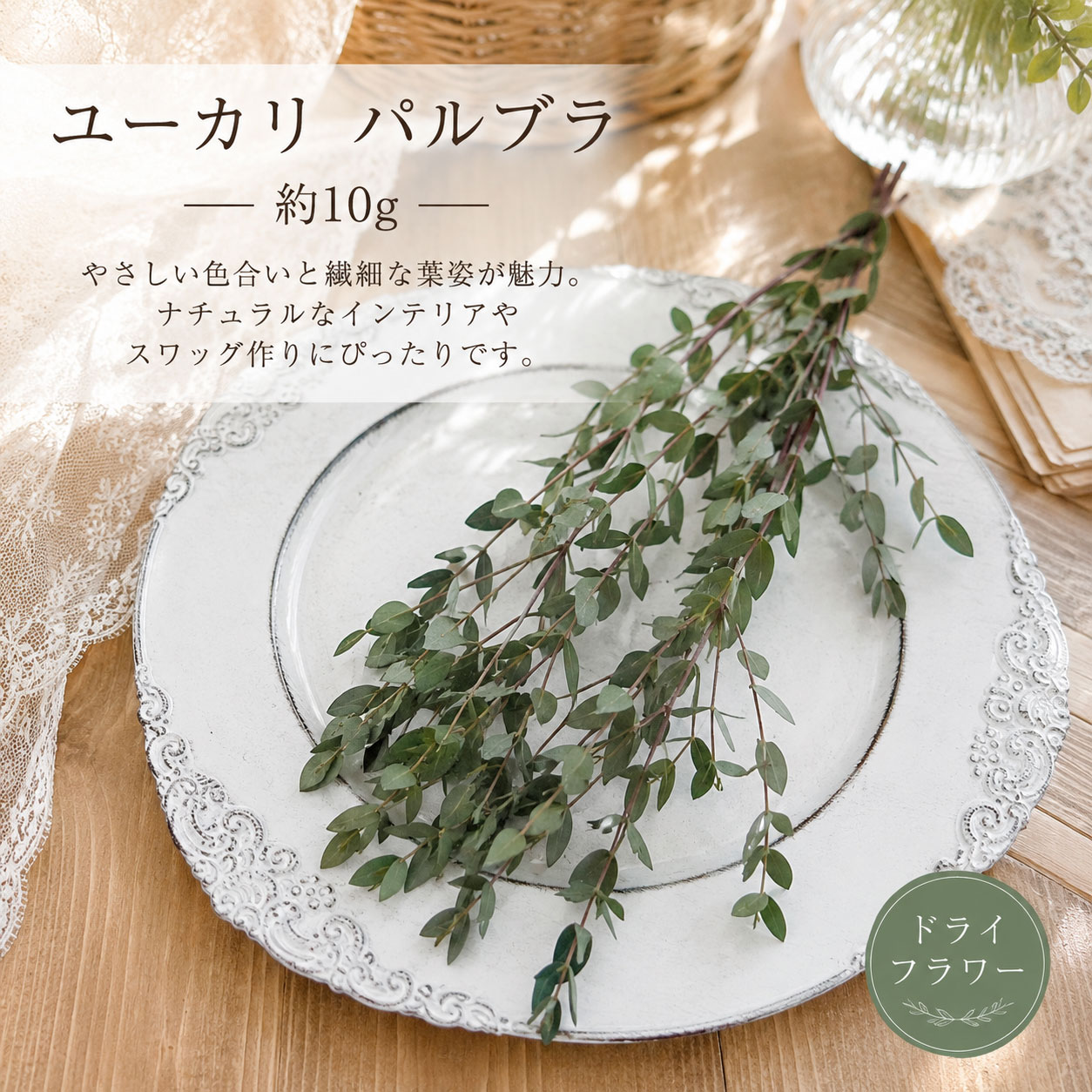 商品名 ユーカリ パルブラ ドライフラワー 内容量 約10g サイズ 長さ約30〜40cm カラー グリーン系 用途 スワッグ・リース・ハーバリウム・アレンジメント・インテリア装飾など 素材 天然ドライフラワー ご注意 天然素材のため、サイ...