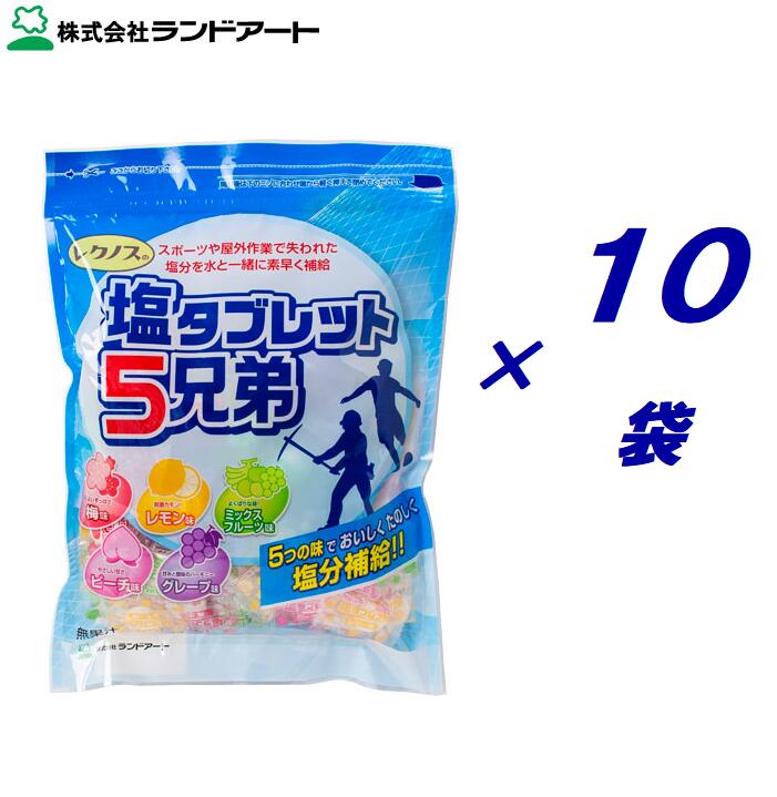まとめてお得！！ 10袋（ 500g × 10袋 ） 塩タブ　アソート5味 ジップ袋入り　（　個装　約185粒　） シオタブ　　塩タブ ◆熱中症対策グッズ・環境対策に ◆塩分補給 ◆水分・エネルギー補給 ◆学校・スポーツ・イベント・作業現場...