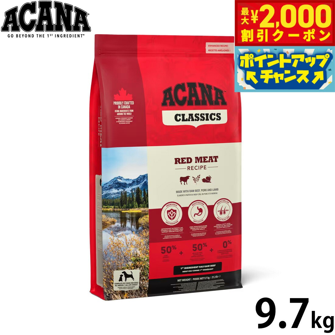 「アカナクラシックレッドミートレシピ」は、草を与えられて育った羊肉、アンガス牛肉、ヨークシャー種豚肉を使用しています。新鮮あるいは生の状態で自社キッチンまで毎日搬送され、犬に完璧な栄養を与えます。アカナは高GI穀類不使用で、栄養満点な肉たん...