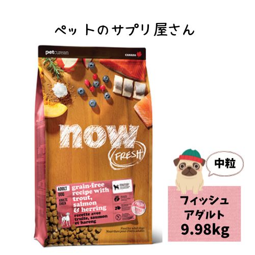 商品詳細 ■商品説明 ●新鮮素材をたっぷり使い、家族のための食事を準備するのと同じように愛情を注いで作りました。 ●レシピにはカナダ食品検査庁(CFIA)の検査基準で人間用の食材グレードをクリアした新鮮な生肉・鮮魚とオイルを使い、素材を活か...