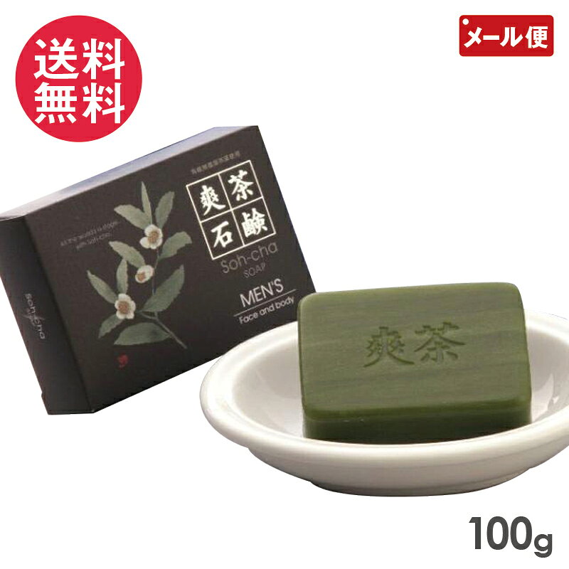 その肌で、第一印象が変わる！ お茶のプロが導き出した男の正解 お茶の洗顔石鹸 想茶石鹸 メンズ 100g 泡立てネット付き ◆静岡茶で作ったお茶の洗顔石鹸です♪ 爽茶石鹸 MEN'Sは、お茶の産地・静岡で大切に育てられた有機茶葉のチカラを凝...