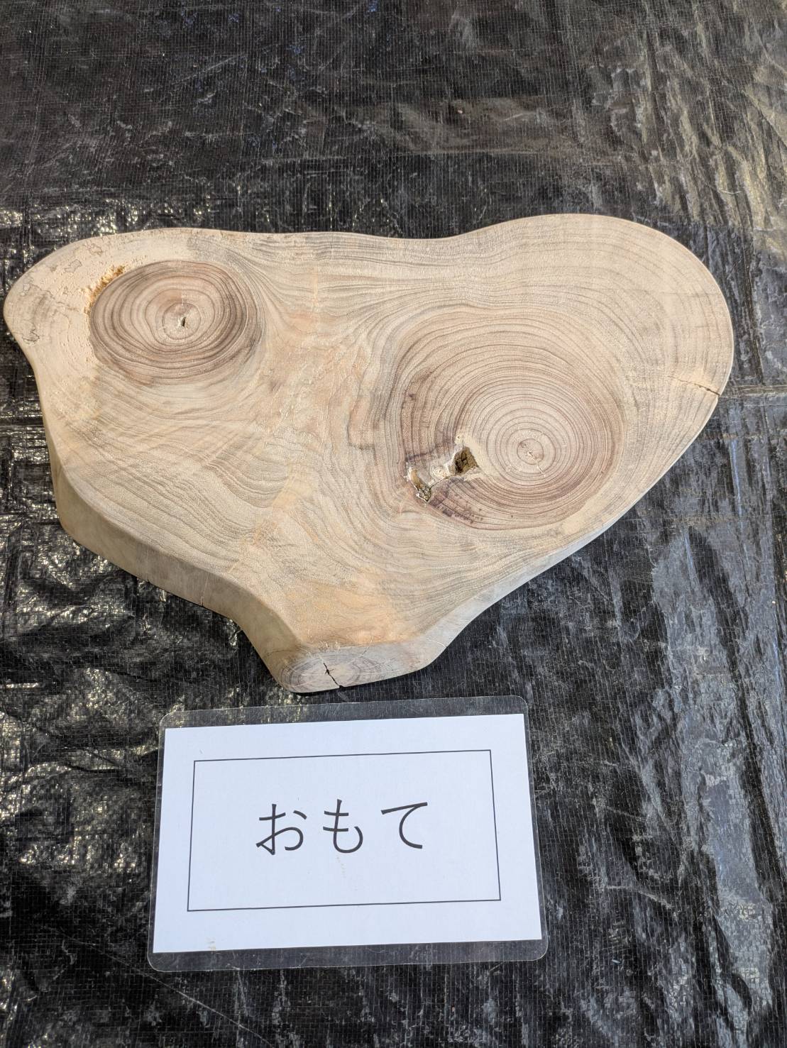 クス　輪切り板　サイズ：290～450程度（写真確認ください）厚み41　サンダー仕上げ　無塗装　歪みS 珍しい輪切りタイプです お値打ちな一枚 クス　輪切り板　サイズ：290～450程度（写真確認ください）厚み41　サンダー仕上げ　無塗装　...