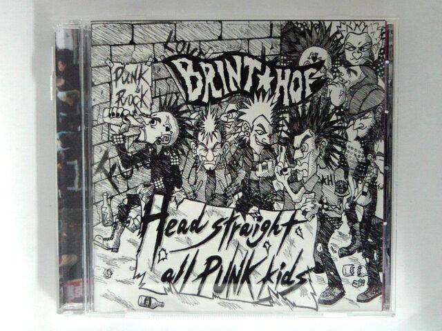 【収録曲】 　【01】Raise your fist 　【02】Summer Wind 　【03】blue in the sky 　　他全9曲収録 ※歌詞カードにケースによる爪押さえ跡あり ～商品状態に関しまして～ 　●　中古商品のため、特...