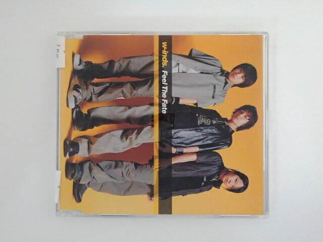 【収録曲】 　【01】Feel The Fate 　【02】will be there 〜恋心 　【03】Feel The Fate(ZA DOWNTOWN GROOVE-MASTER REMIX) 　　他全4曲収録 〜商品状態に関しまして...