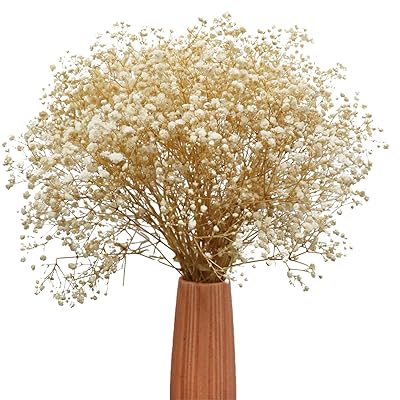 家の装飾のための自然な乾燥した花の赤ん坊の呼吸の花束のGypsophilaの枝、結婚式、テーブルの装飾、DIYの花輪の花、花瓶のための乾燥した花の大きさブランド色ホワイトモデルWHITW商品説明【商品概要】自然:私たちの自然なドライフラワー...
